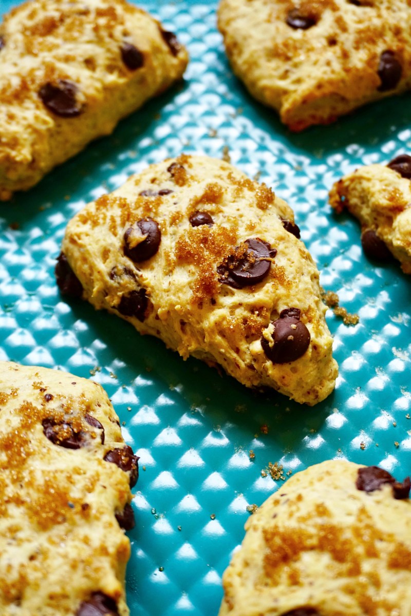Vegan Ginger Chocolate Chip Cookie Scones – Animagus Eats
